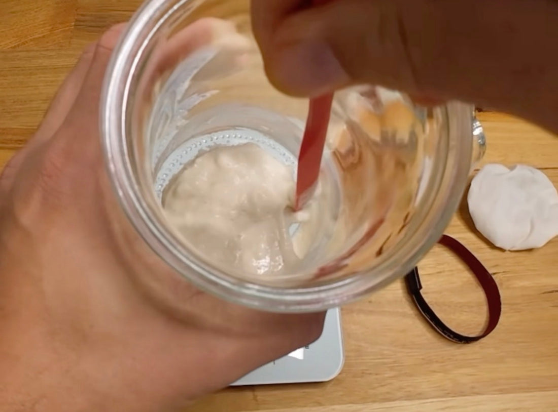 Activate Me! Dried Starter Activation – Dough My God